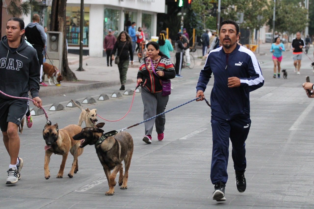 Invitan a la Carrera Perrona | Periódico Region Centro